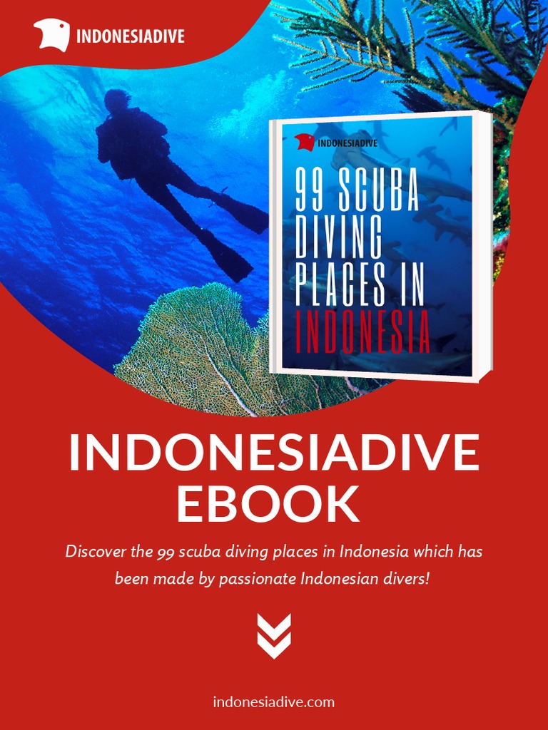 Top 99 Scuba Diving Spots in Indonesia | PDF | Underwater Diving ...