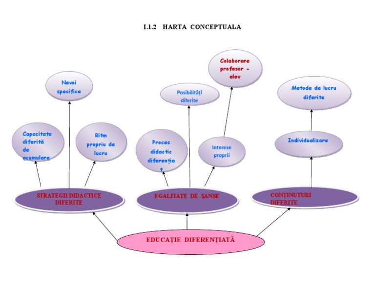 I 1 2 Harta Conceptuala | PDF