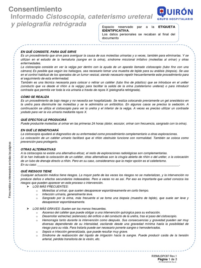 C I Cistoscopia Cateterismo Ureteral y Pielografia Retrograda | PDF ...