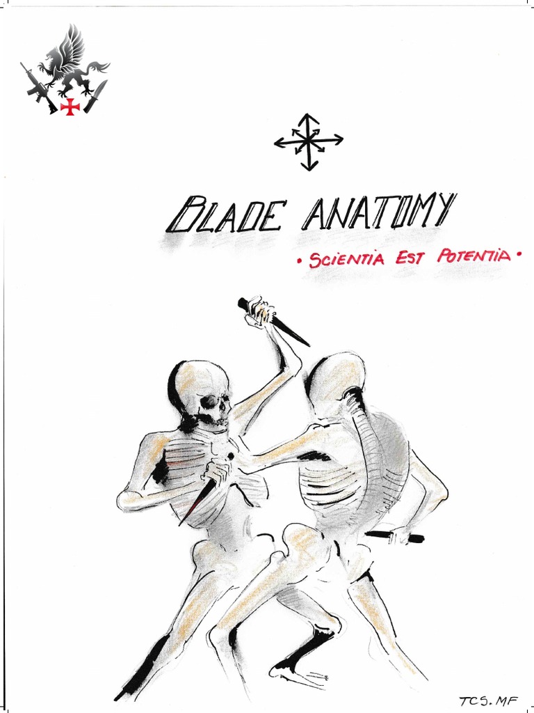 Blade Anatomy | PDF