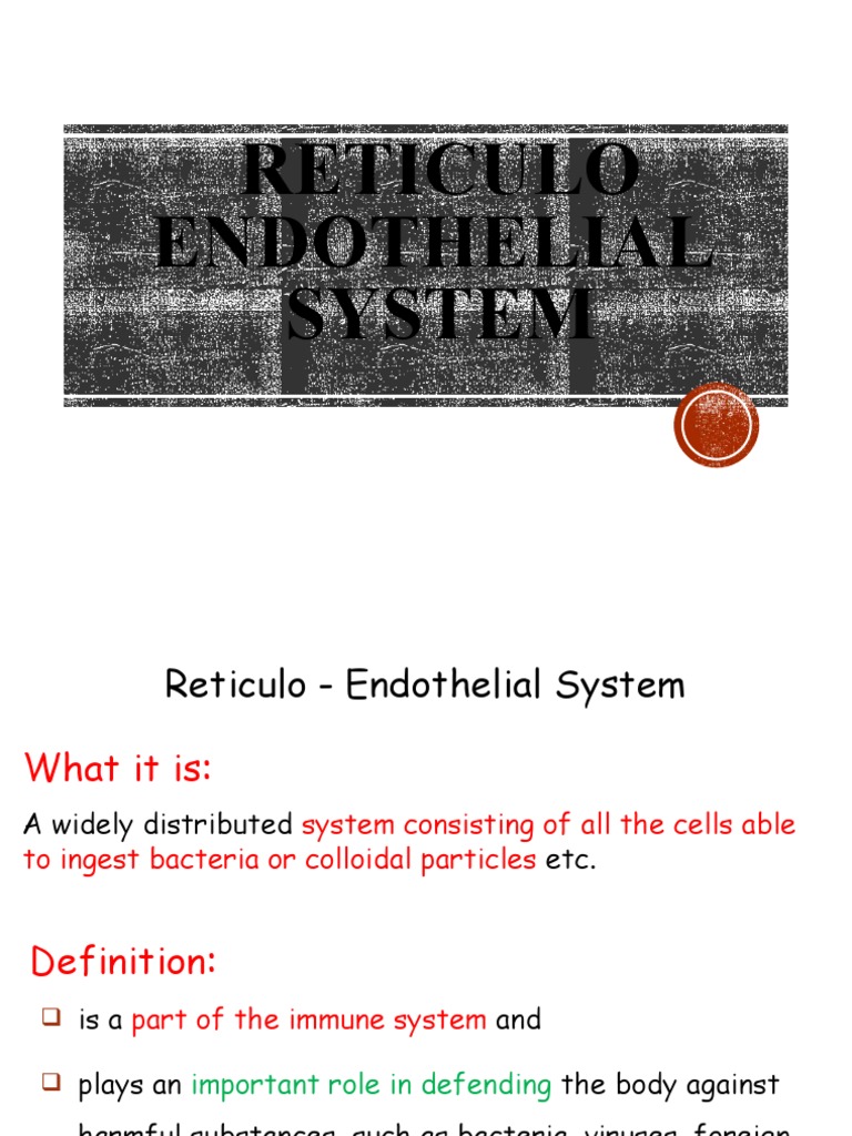 Reticuloendothelial System | PDF | Lymphatic System | Lymph Node