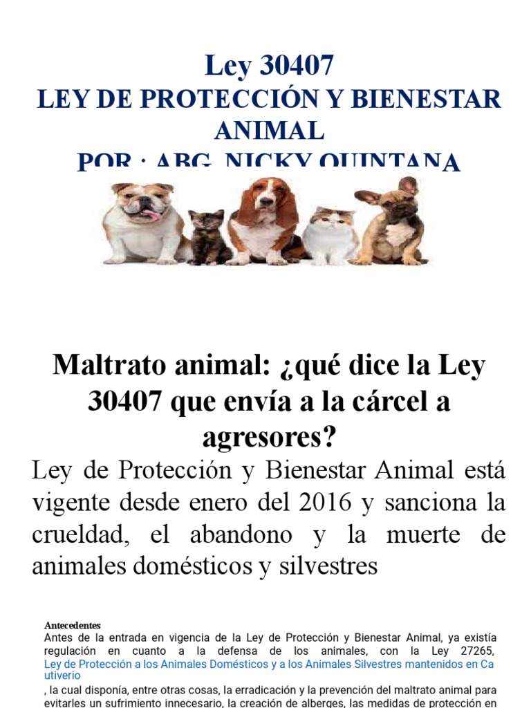 Ley Maltrato Animal | PDF | Propiedad | Derecho penal