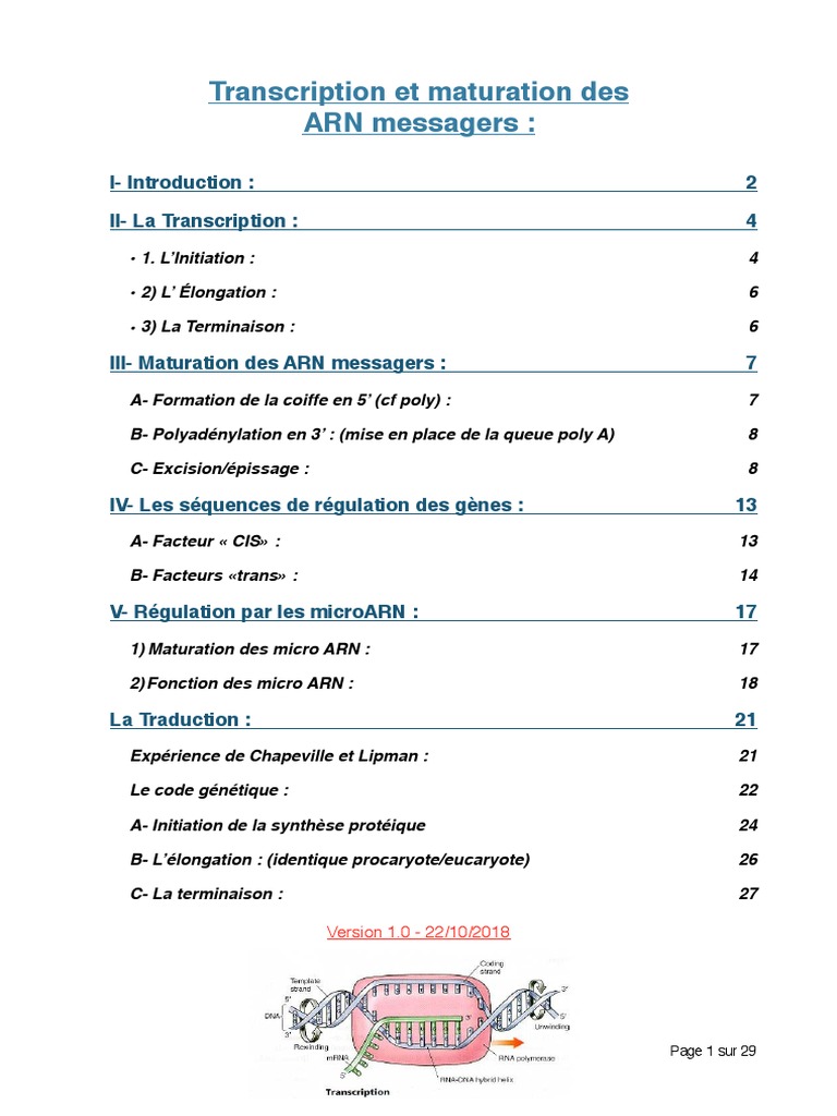 Transcription et Maturation des ARN | PDF | Acide ribonucléique ...
