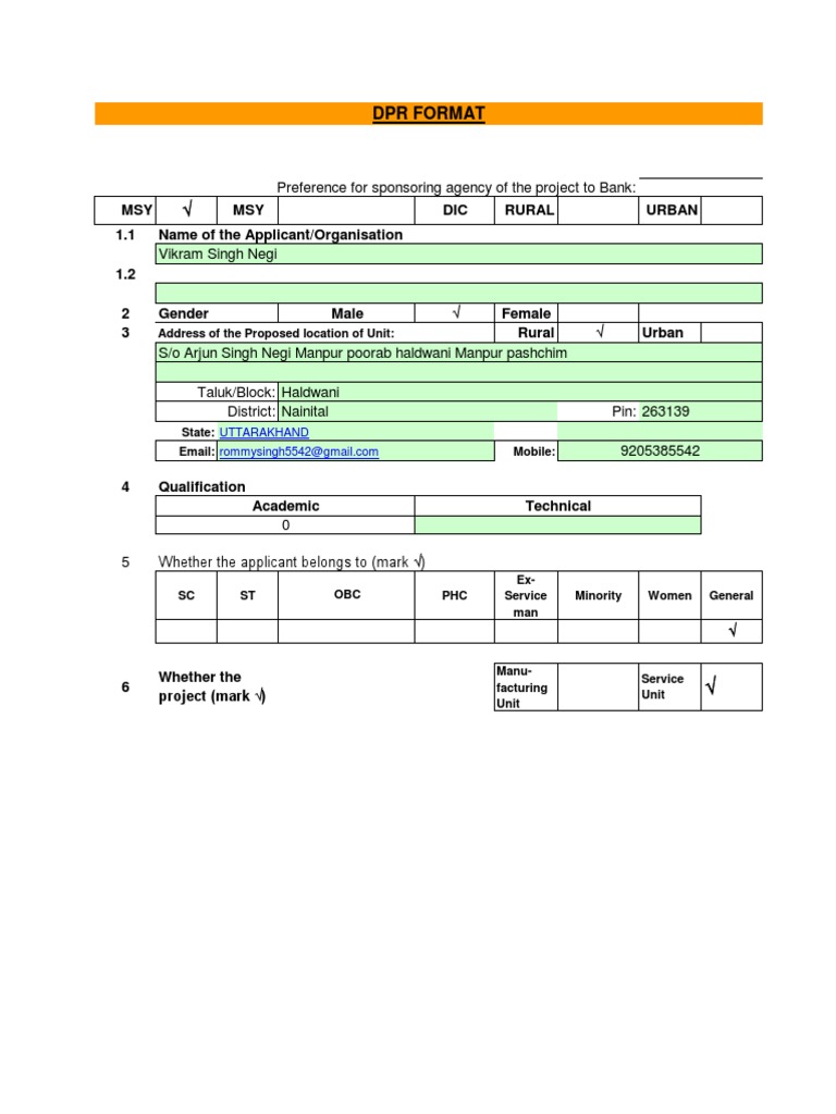 DPR_FORMAT | PDF | Business | Expense