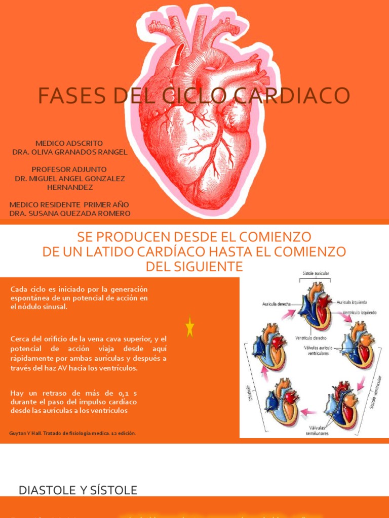 Fases Del Ciclo Cardiaco | PDF | Corazón | Sistema cardiovascular