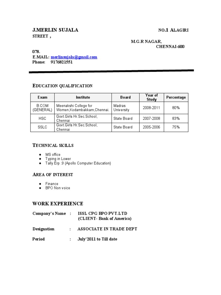 MERLIN CV | PDF | Economies