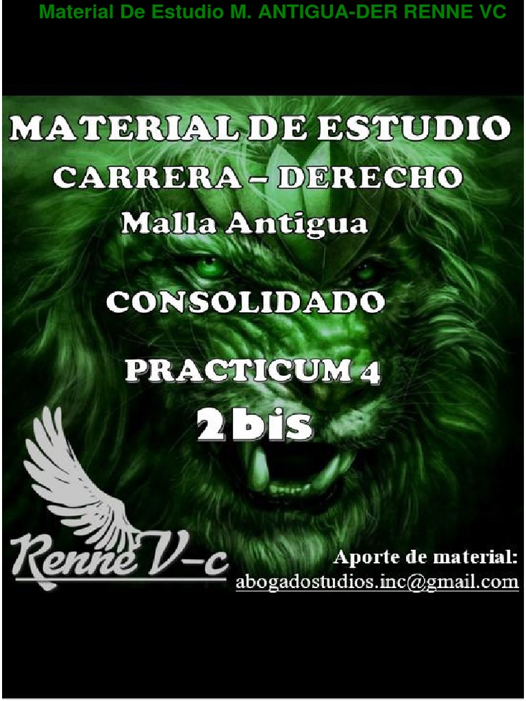 Aa Cons Practicum 4 Bis2 | PDF | Psicoterapia | Esquizofrenia