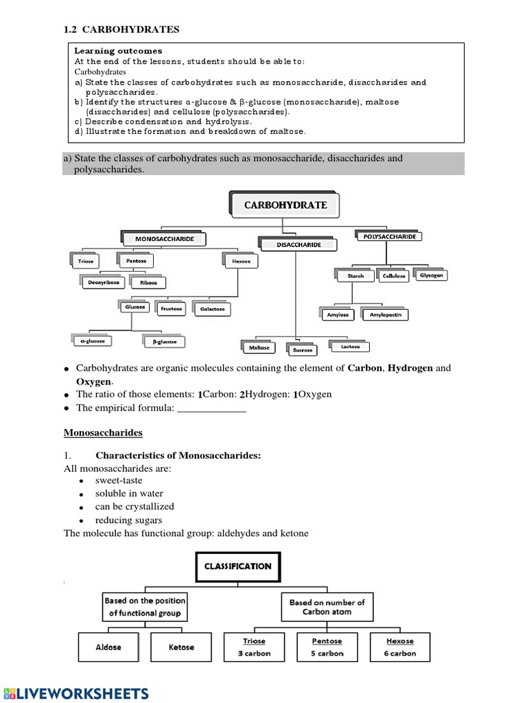 Worksheet For Carbs | PDF | Carbohydrates | Polysaccharide