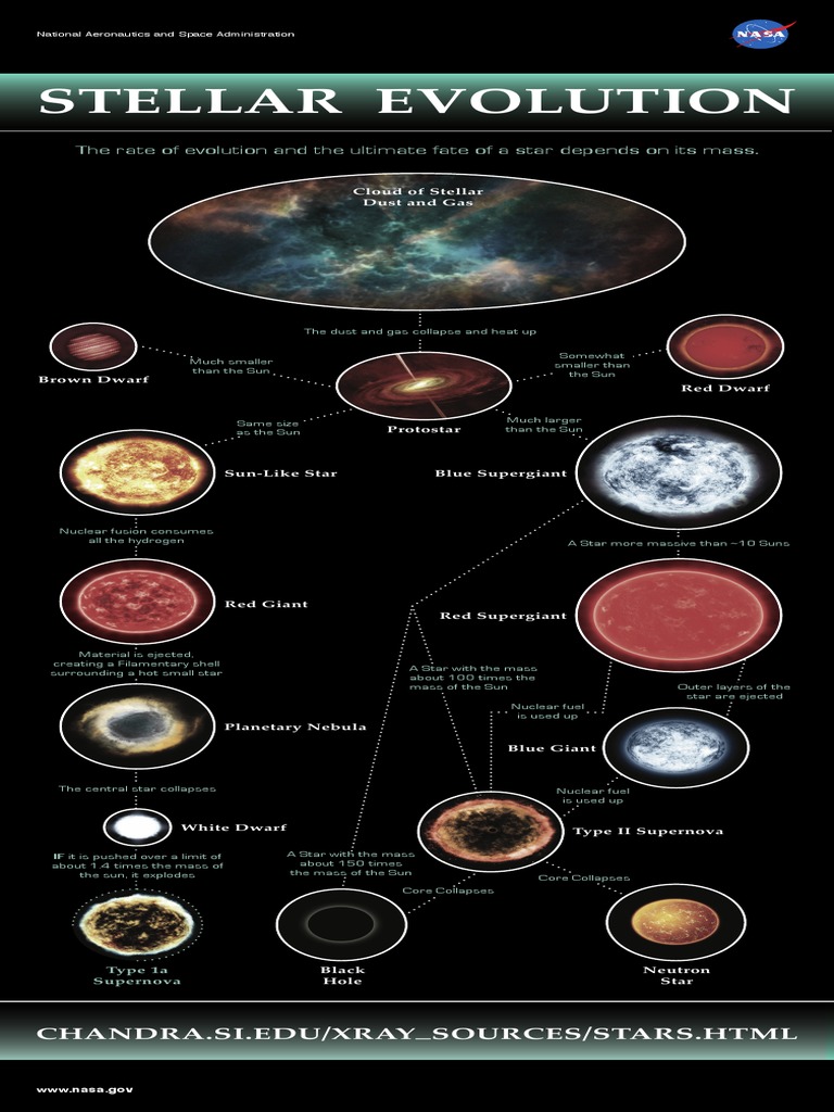 NASA Stellar - Evolution - Infographic - Chart | PDF | Stars | Supernova