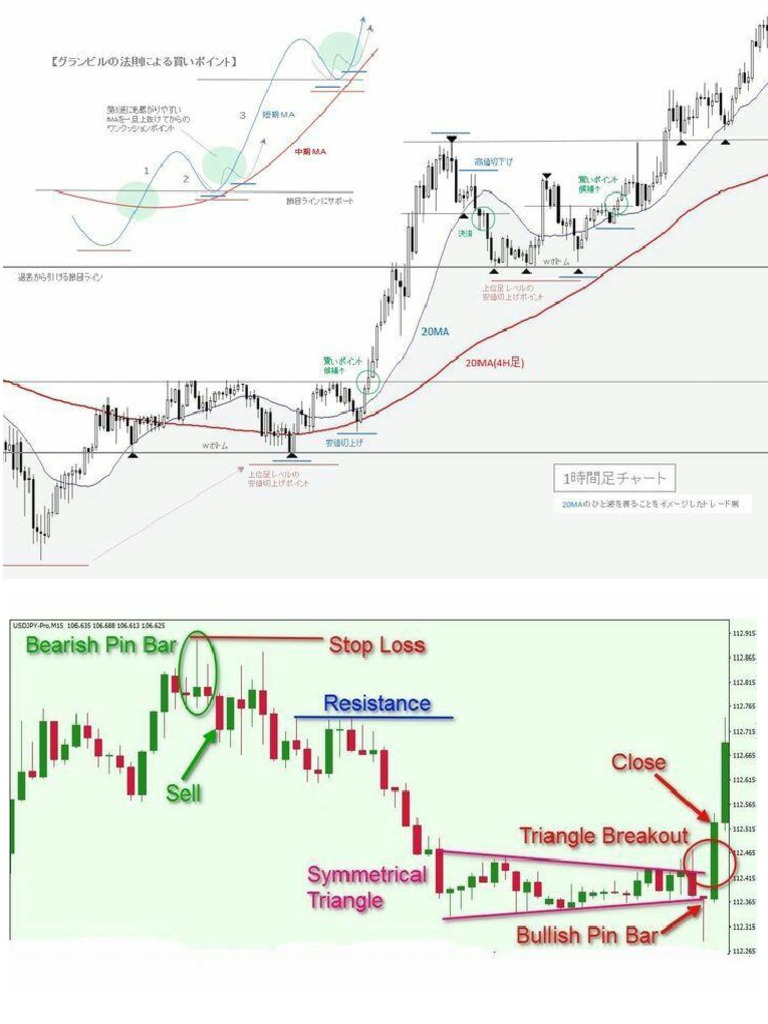Beginner Trader Helper Paid Chart Ebook Part 1 | PDF