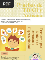 Guia de Aplicacion y Correcion para Cuestionario de Comunicacion Social ...