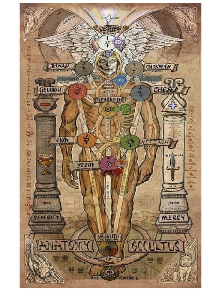 Anatomy Ocultus | PDF