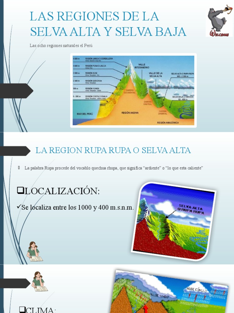 Las Regiones de La Selva Alta y Selva | PDF | Selva