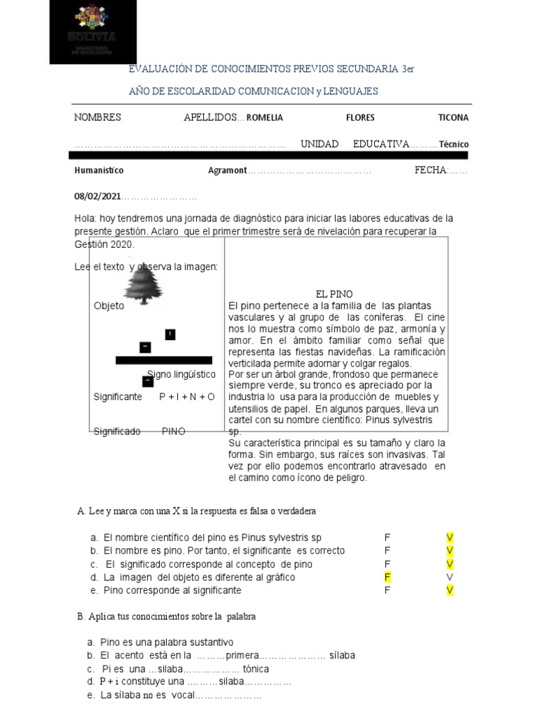 Comunicación y Lenguajes Romelia Flores | PDF | Palabra | Sílaba