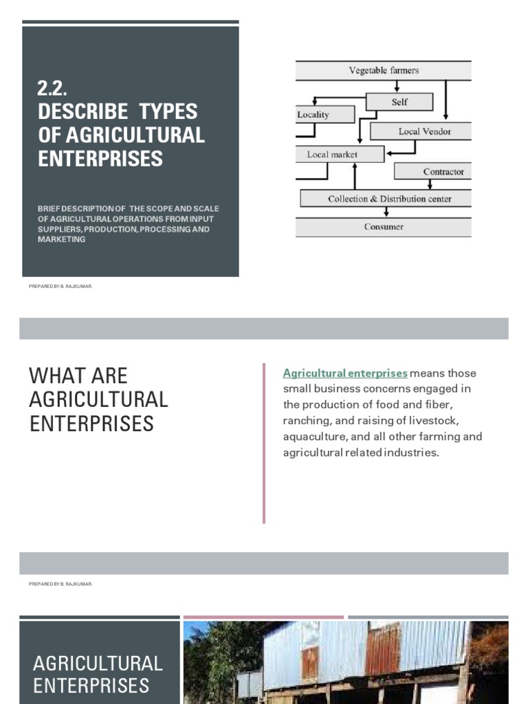 5 Agricultural Enterprise | PDF | Agriculture | Farms