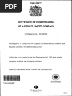 AP01 Form: Director Appointment Guide | PDF | Government