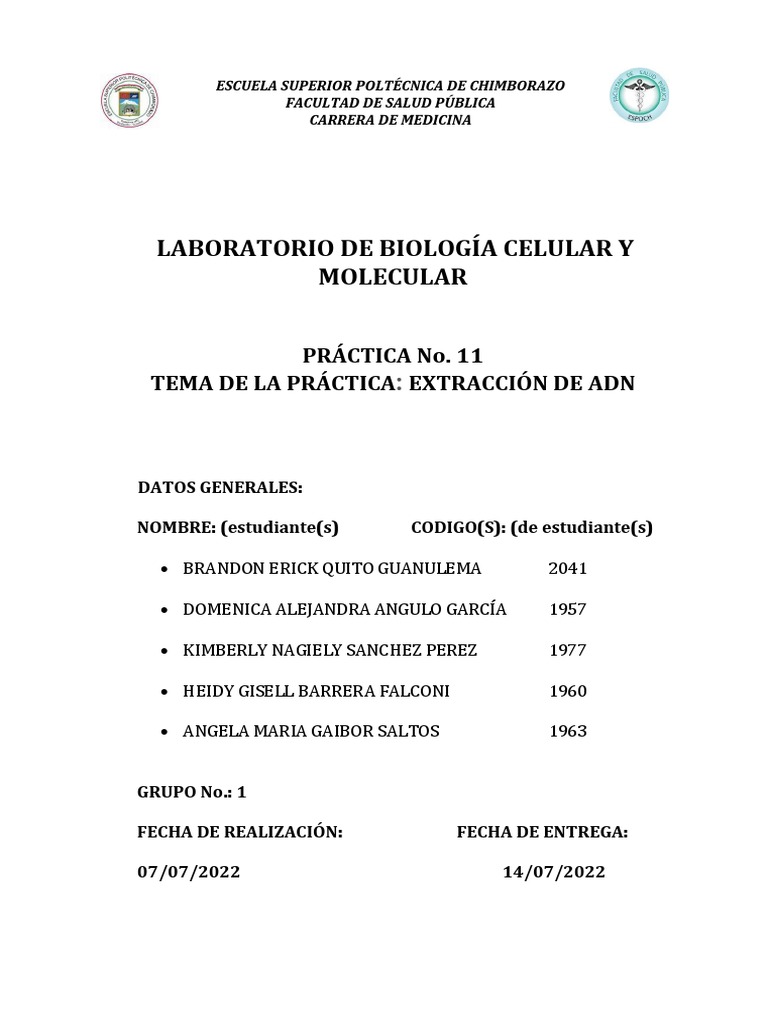 Aislamiento y observación de ADN vegetal: Extracción de ADN de tomate mediante métodos caseros ...