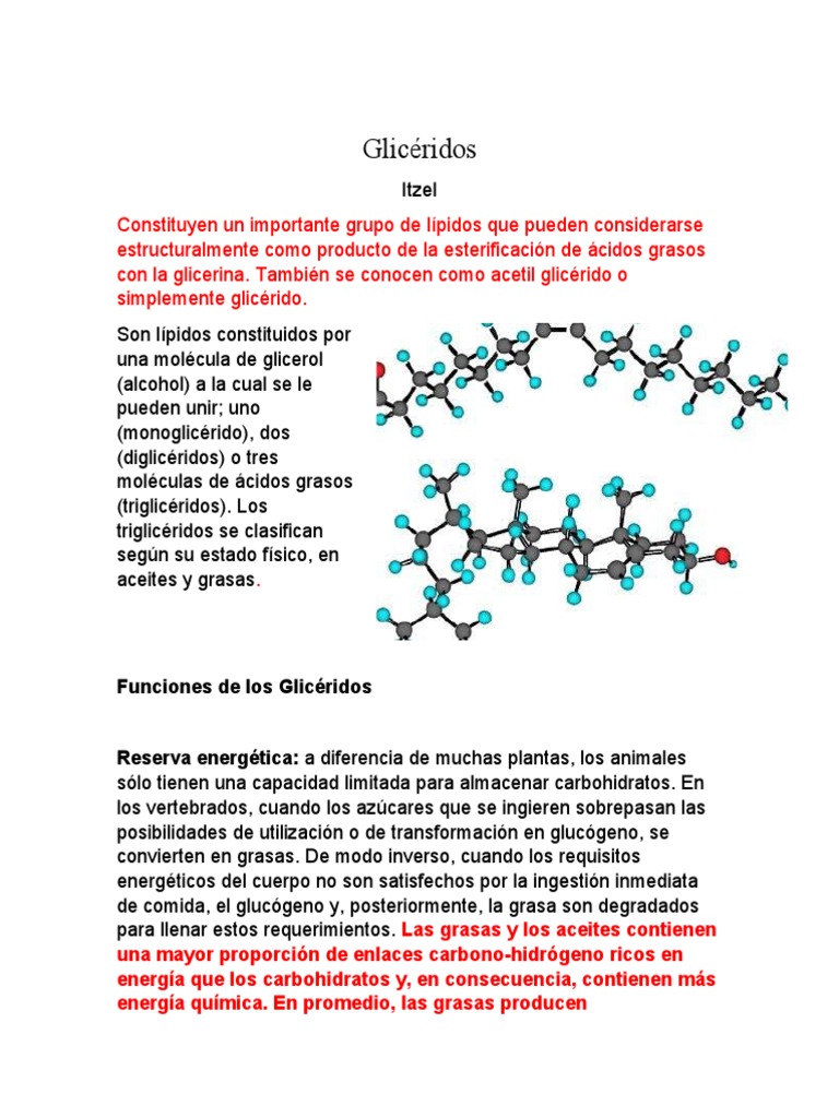 Glicéridos | PDF | Ciencias fisicas | Nutrientes