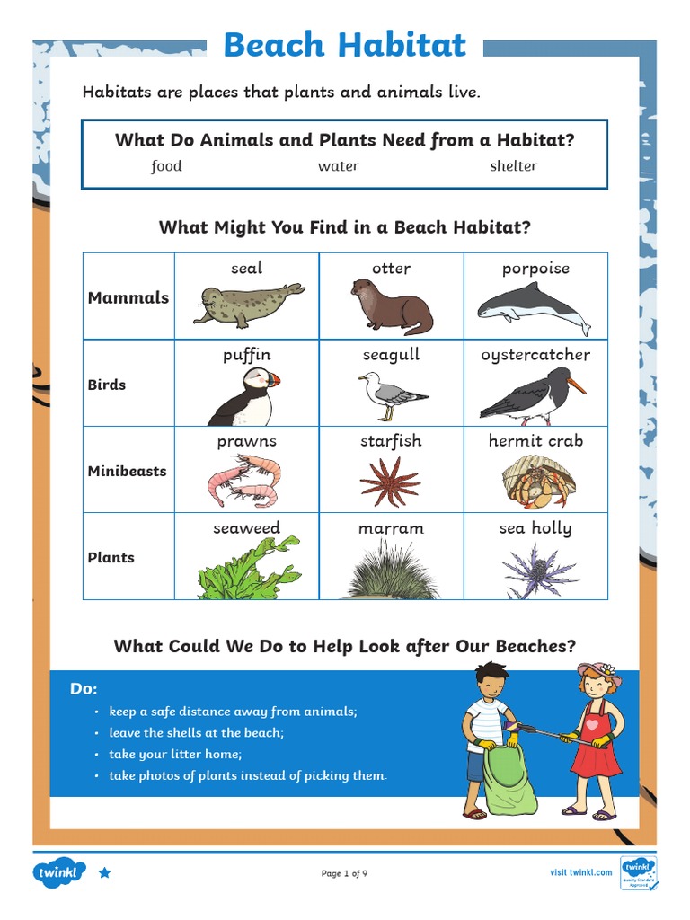 Beach Habitat Differentiated Reading Comprehension Activity | PDF ...