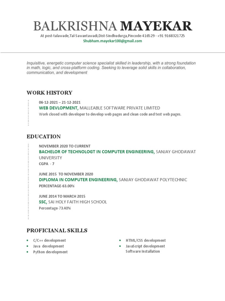 Aspiring Software Developer Profile | PDF