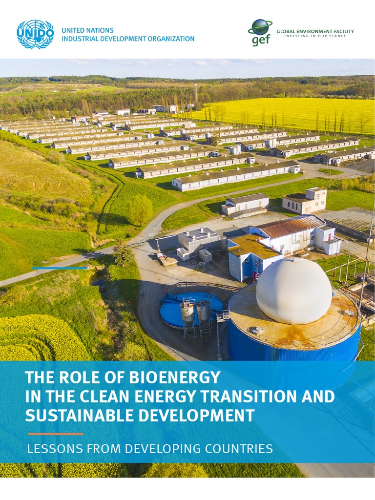 2021 Unido The Role of Bioenergy in The Clean Energy Transition and ...