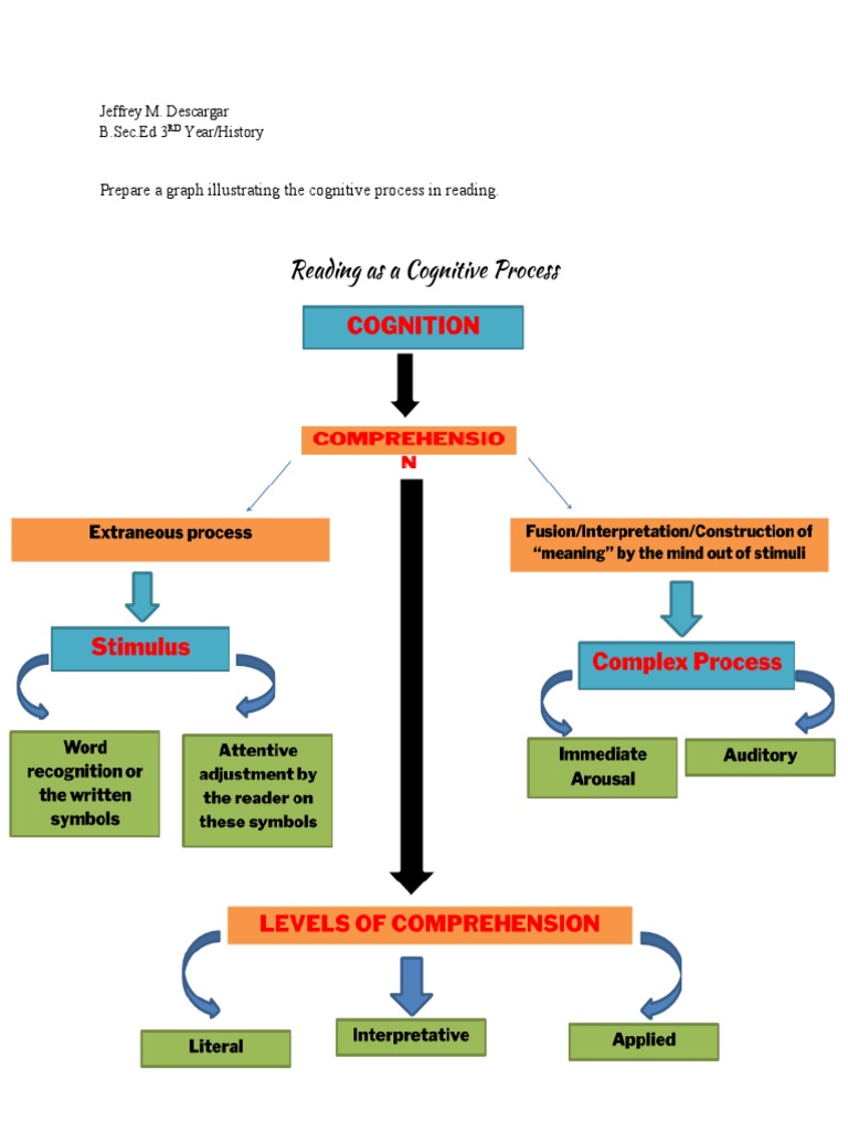 Prepare A Graph Illustrating The Cognitive Process in Reading | PDF