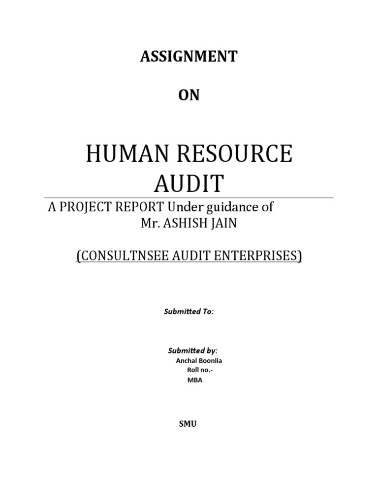 Human Resource Audit: Assignment ON | PDF | Human Resource Management ...