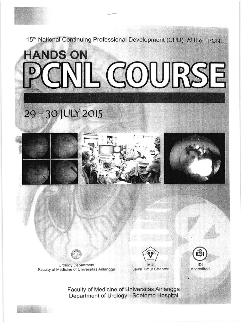 Nefrolitotomi Perkutan: Panduan PCNL | PDF