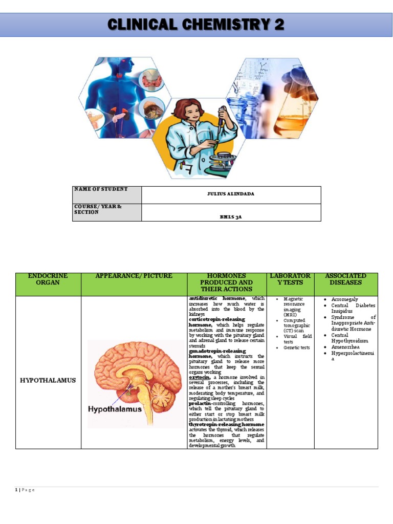 Cc2 Endocrine Glands Activity | PDF | Endocrine System | Adrenal Gland