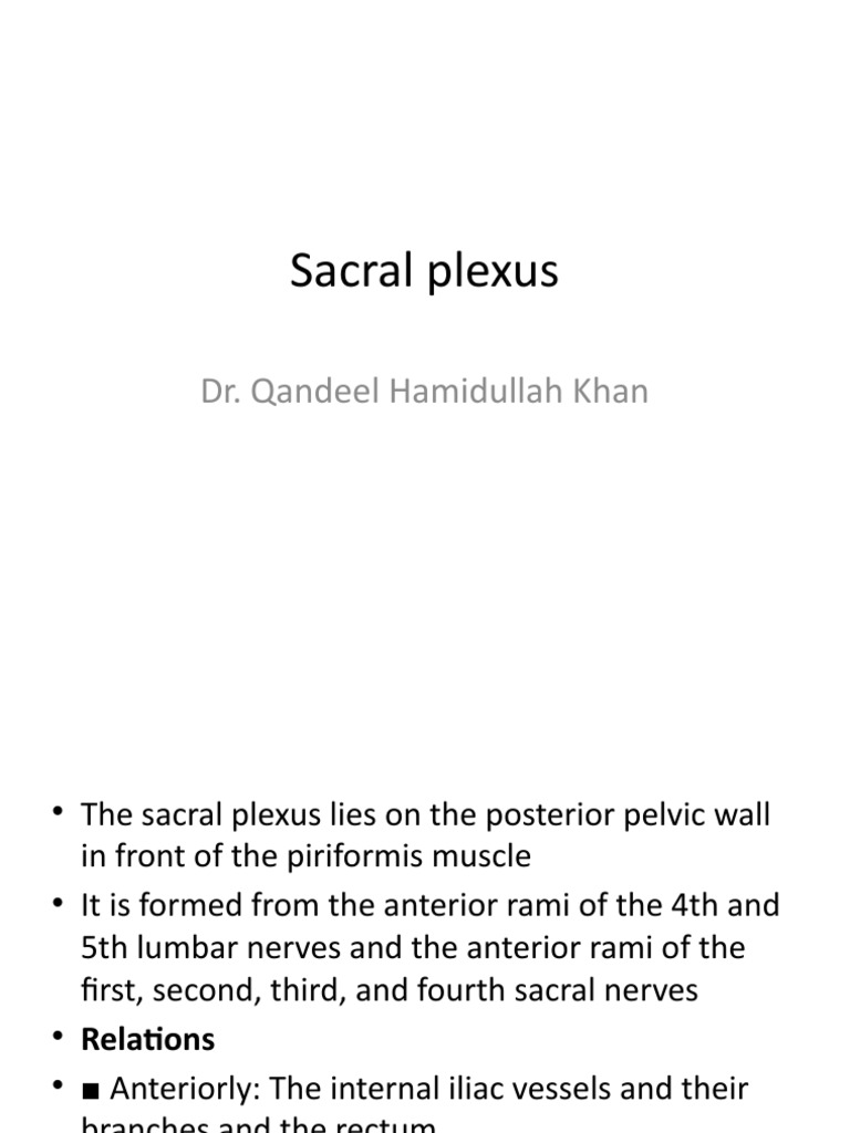 Sacral Plexus: Dr. Qandeel Hamidullah Khan | PDF