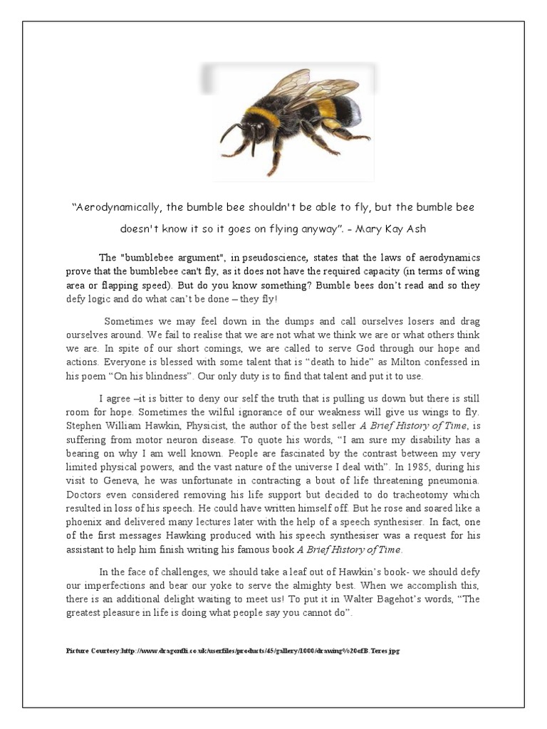 Bumble Bee | PDF