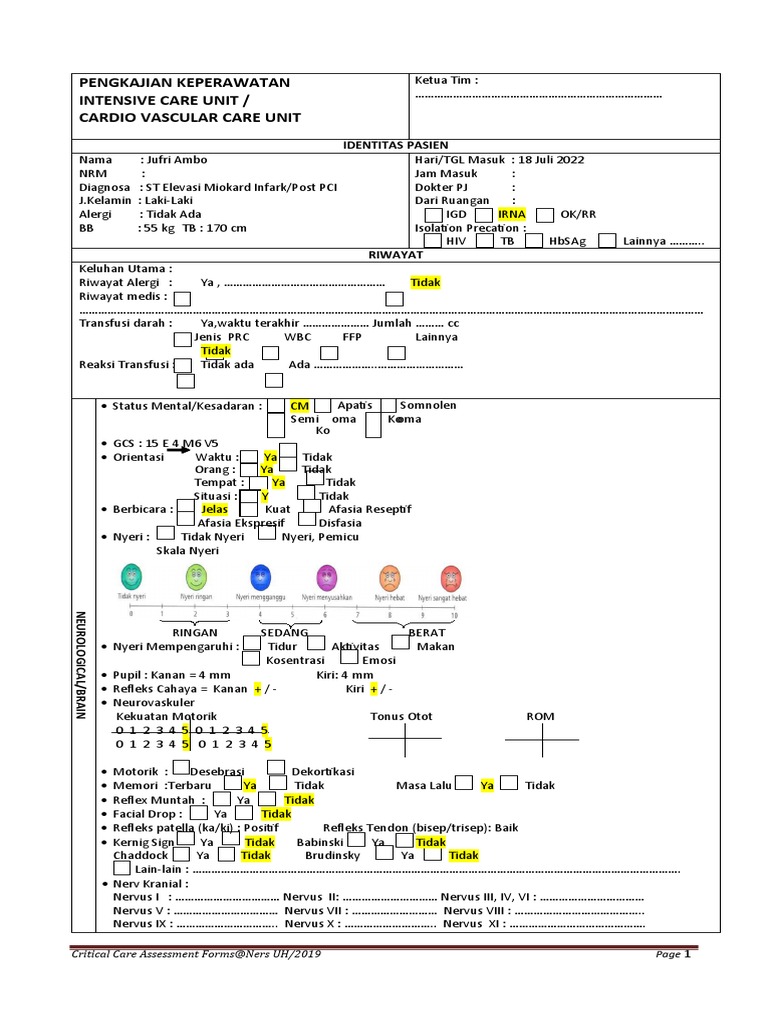 Format Pengkajian Icu-Cvcu | PDF