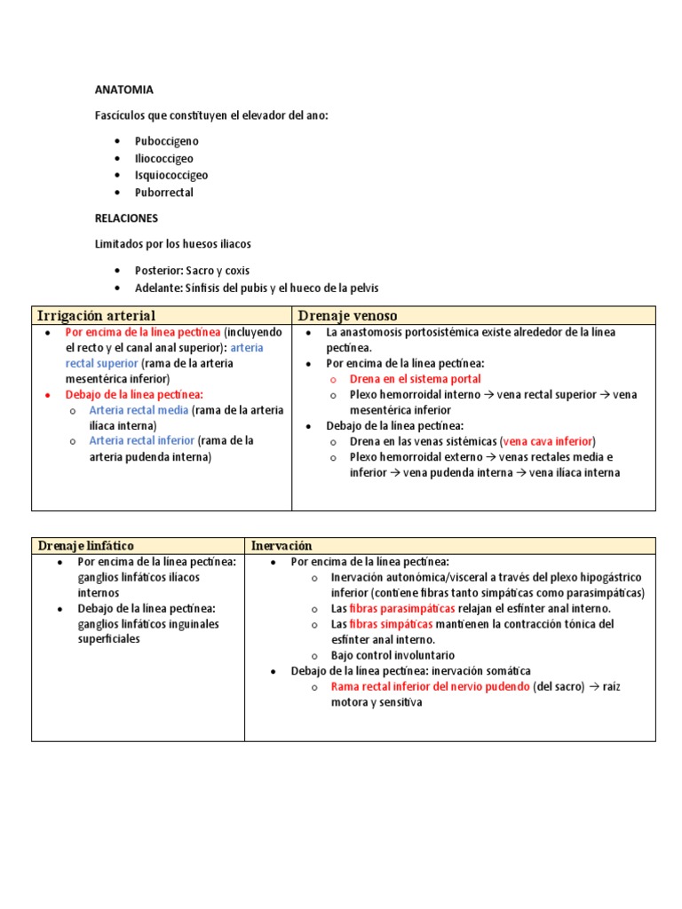 Anatomía y Patología Anorrectal | PDF | Causas de la muerte | Medicina ...