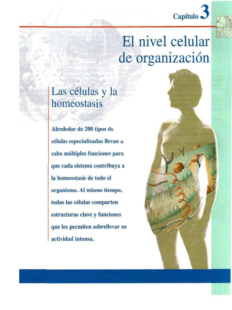 Tortora G J Derrickson B 2006 Capítulo 3 El Nivel Celular