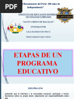 Definición y Estructura de Programas Educativos | PDF | Aprendizaje ...