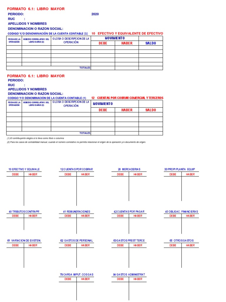 Formato Libro Mayor 2020 Contable | PDF