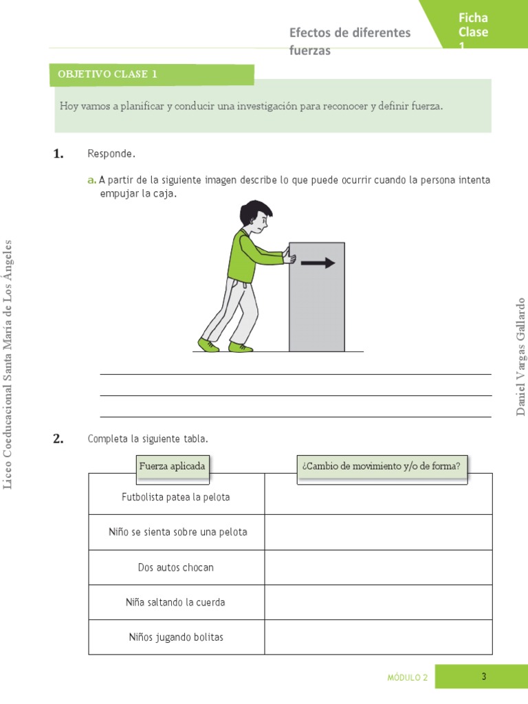 Guia Parte 1 Fuerzas 8° | PDF | Fuerza | Gravedad