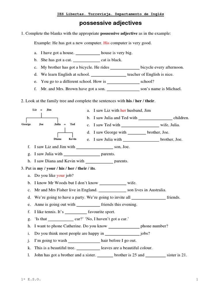 Possessive Adjectives Practice Worksheet | PDF