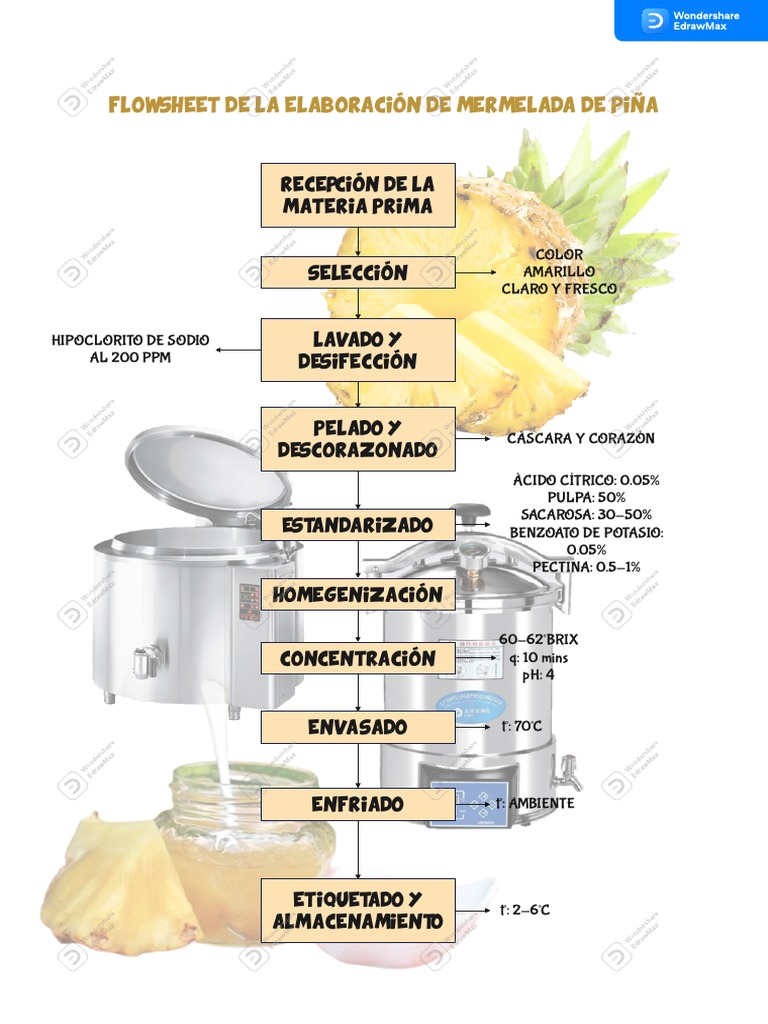 Proceso de Elaboración de Mermeladas | PDF | Fruta | Frutas comestibles