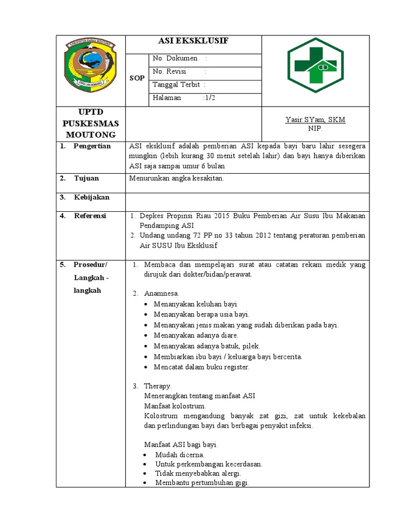 Sop Asi Eksklusif | PDF