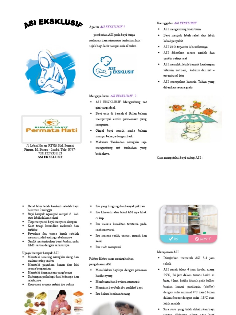 Leaflet Asi Eksklusif | PDF