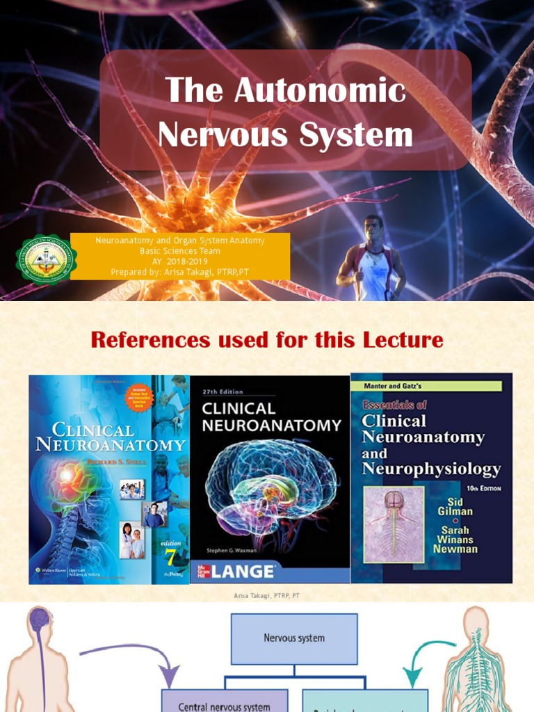 The Autonomic Nervous System | PDF | Autonomic Nervous System | Human ...