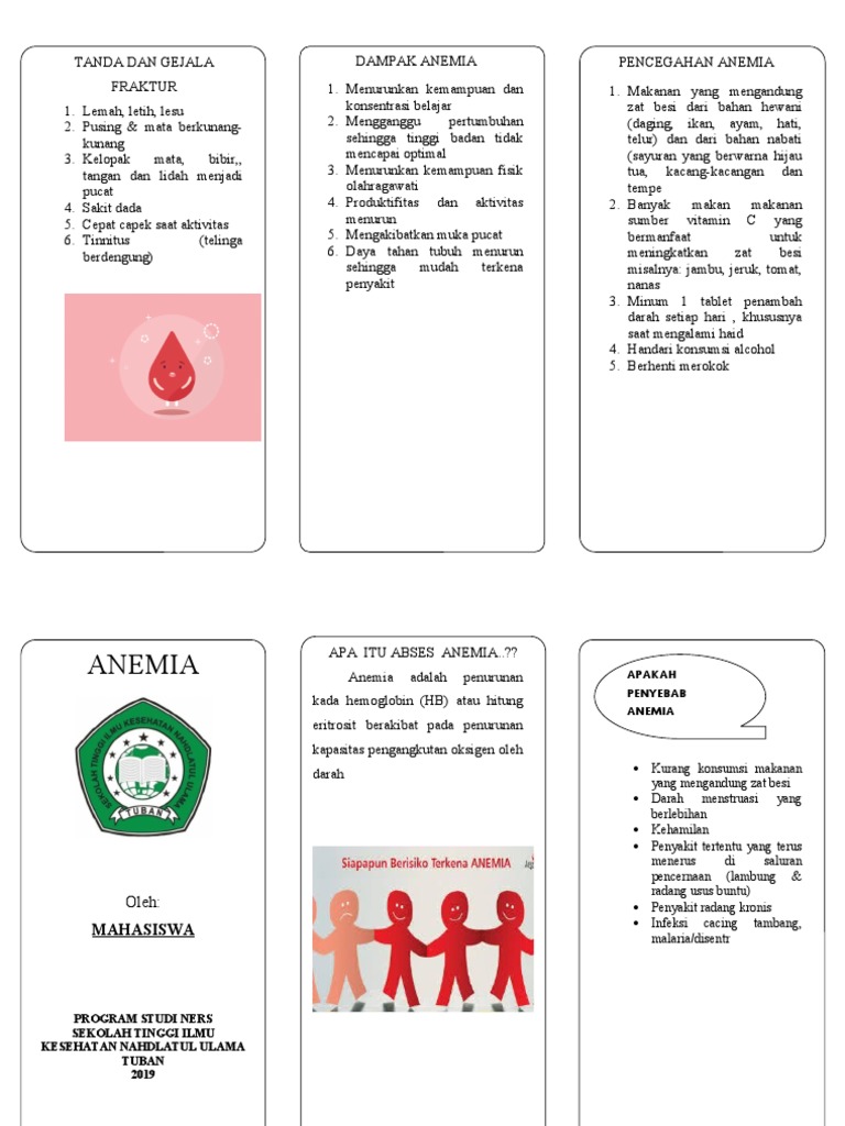 Leaflet Anemia | PDF