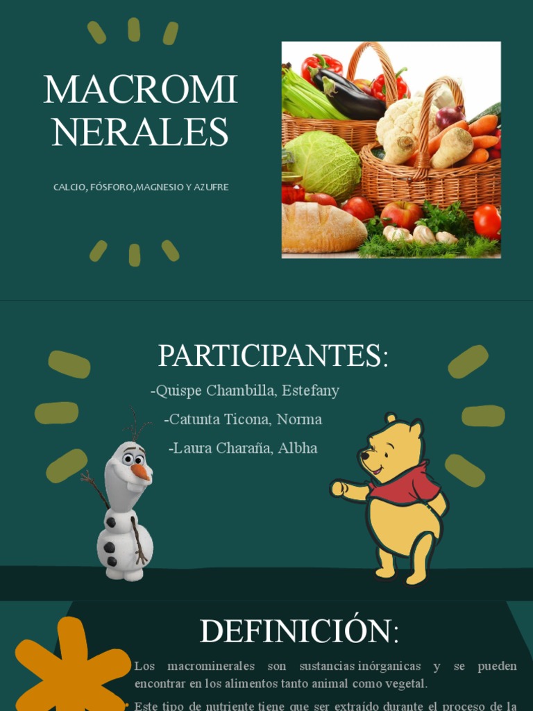Grupo Macrominerales 01 - Terminado | PDF | Calcio | Alimentos