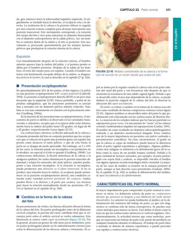 Etapas Del Parto | PDF | Parto | El embarazo