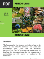 Cruzadinha Sobre Os Fungos PDF | PDF