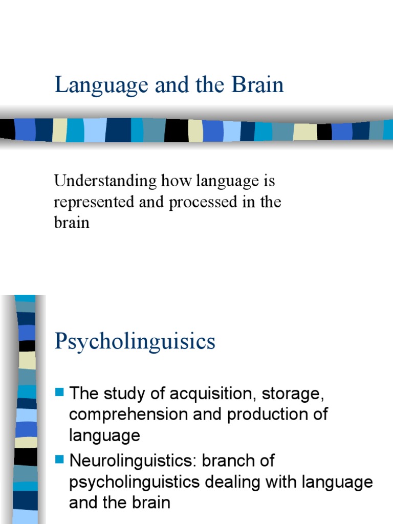 Understanding How Language Is Represented and Processed in The Brain ...