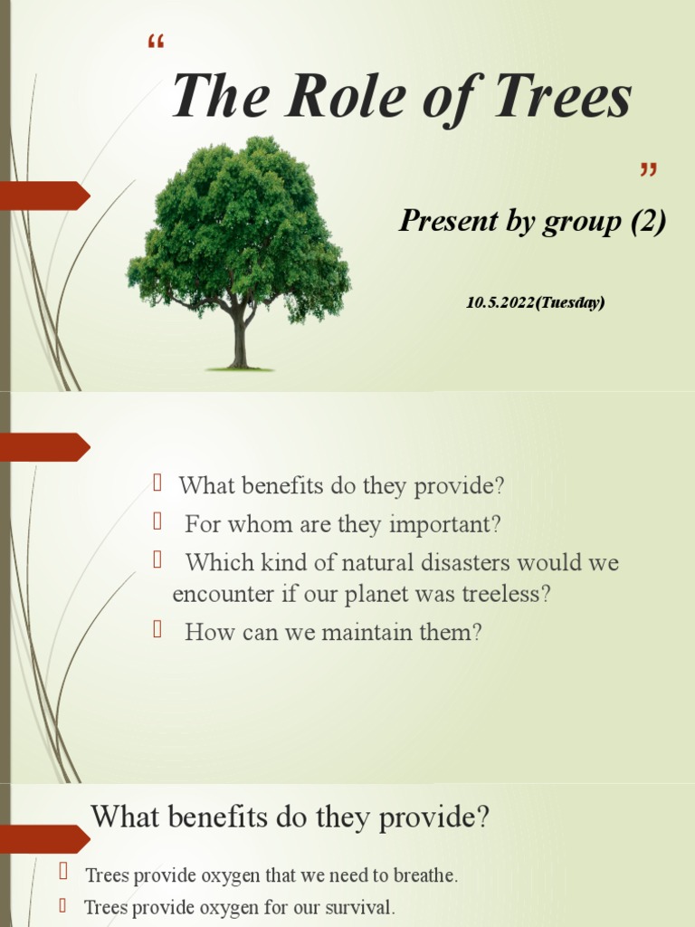 The Role of Trees | PDF | Trees | Soil
