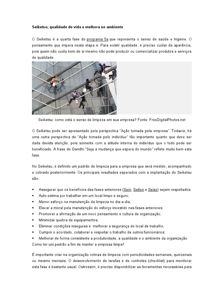 Senso de Limpeza e Seiketsu no 5S | PDF | Ambiente natural | Pensamento