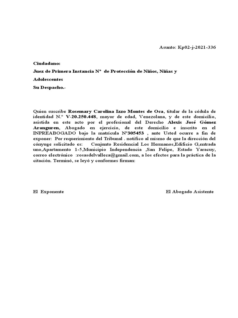 Modelos de Diligencias | PDF